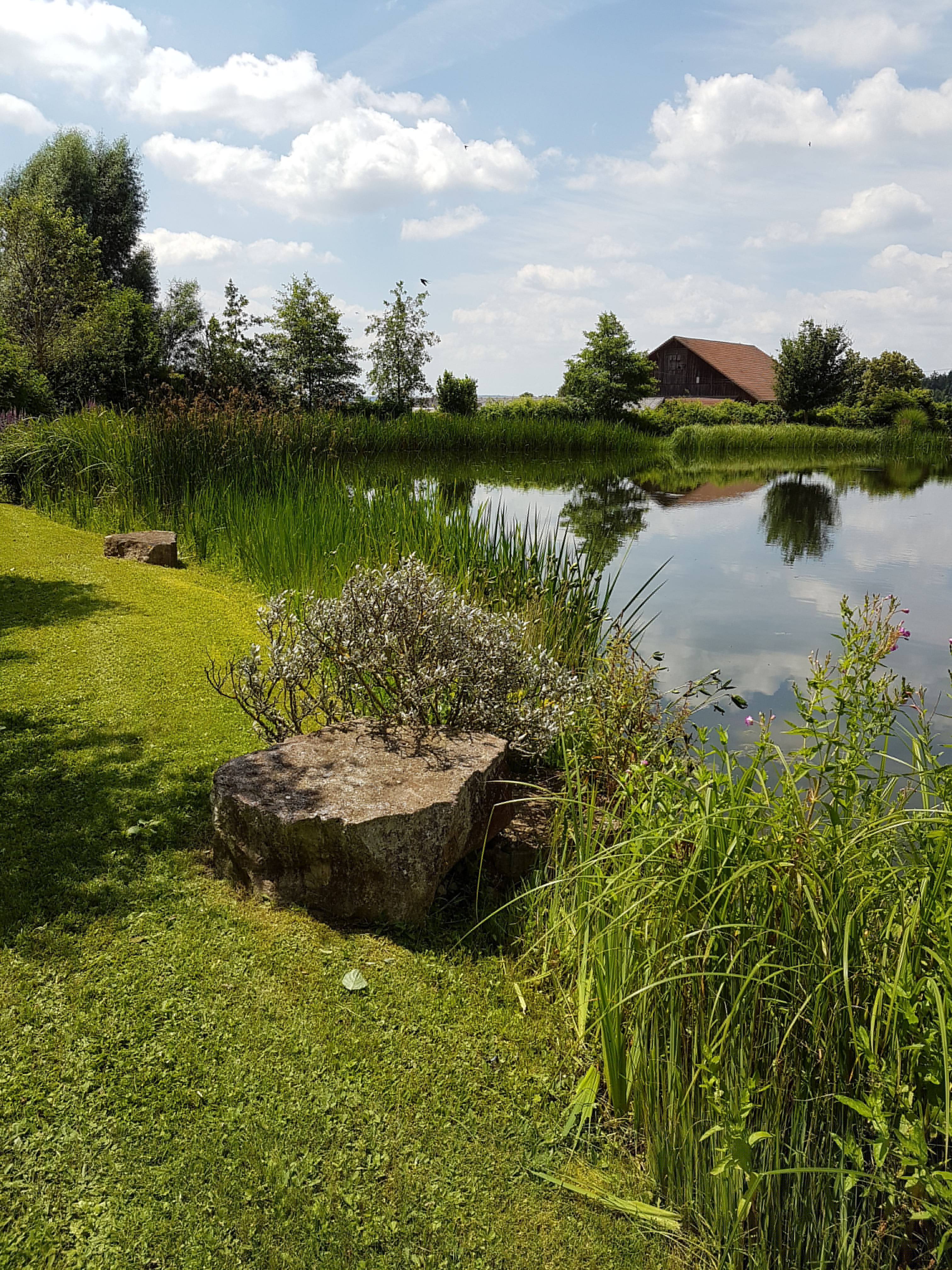 Bachlauf, Teich, Teichbau, Wasserfall Serena Gartenbau Uster